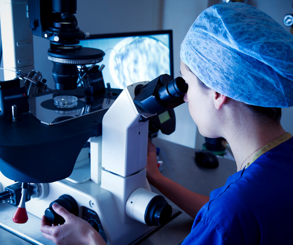 Partners | alpha-ivf