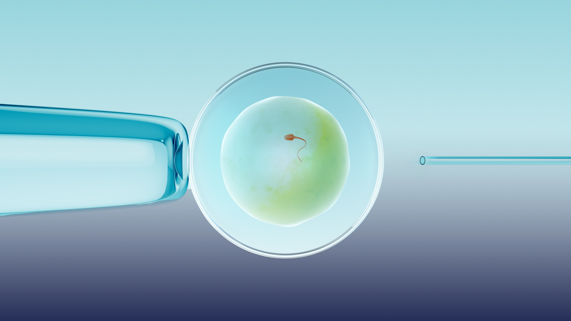 Partners | alpha-ivf