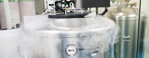 Partners | alpha-ivf