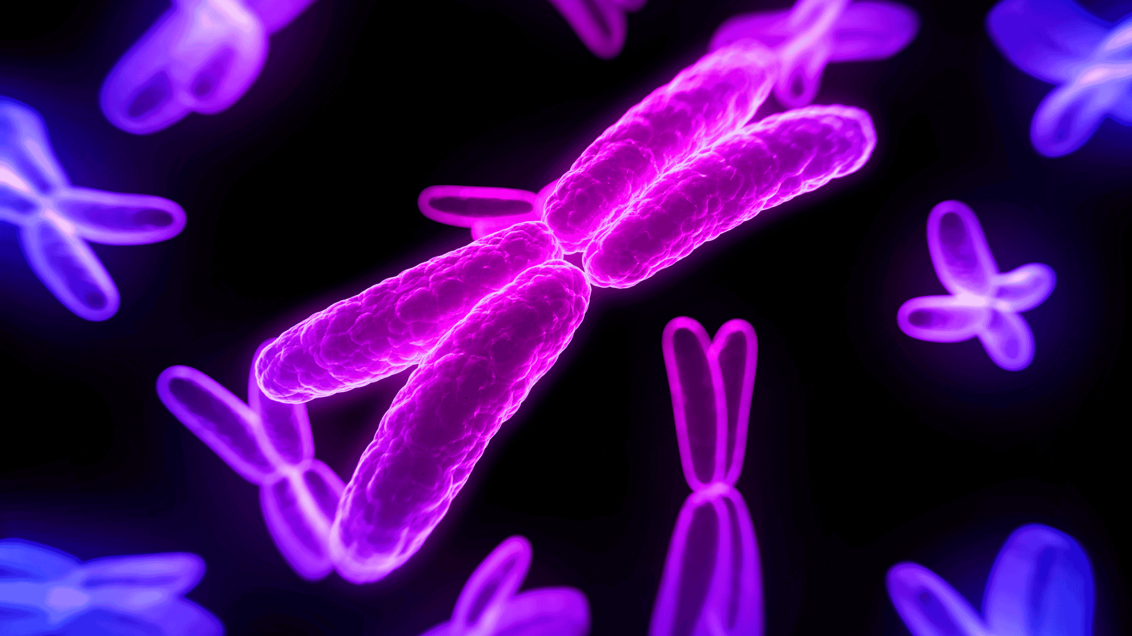 Preimplantation Genetic Testing | alpha-ivf